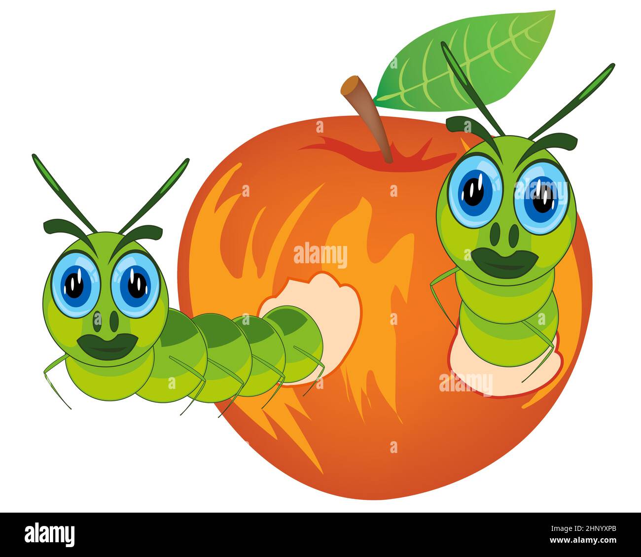 Vector illustration of the fruit apple with insect of the caterpillar ...