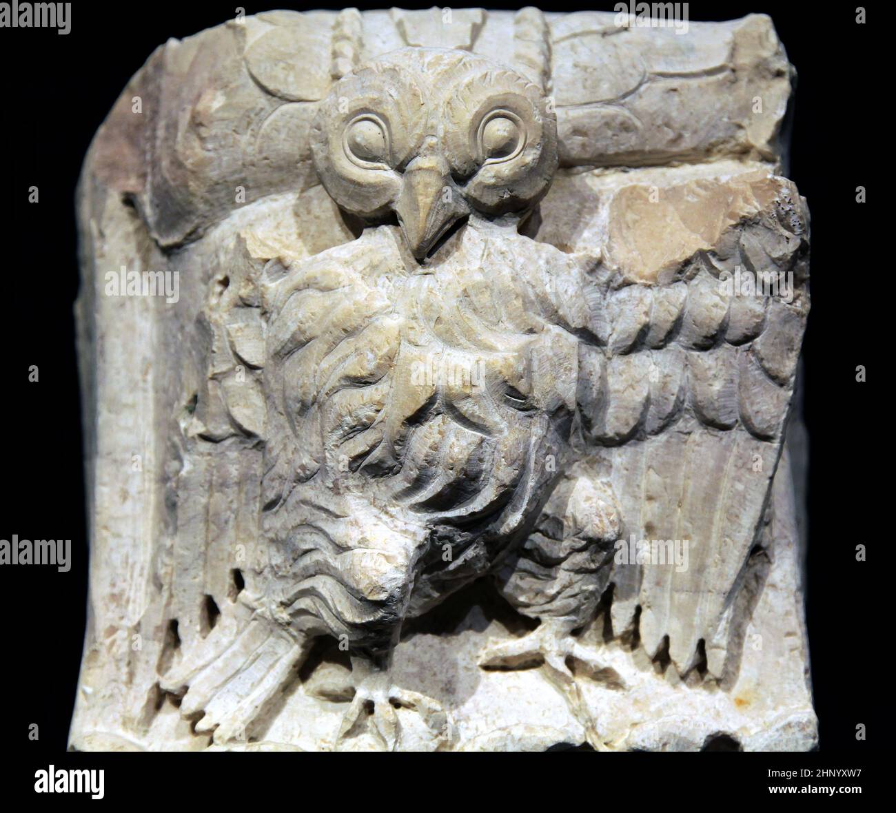 Owl of Minerva,Owl of Athena,from the theatre of the Villa Alba,Villa ...