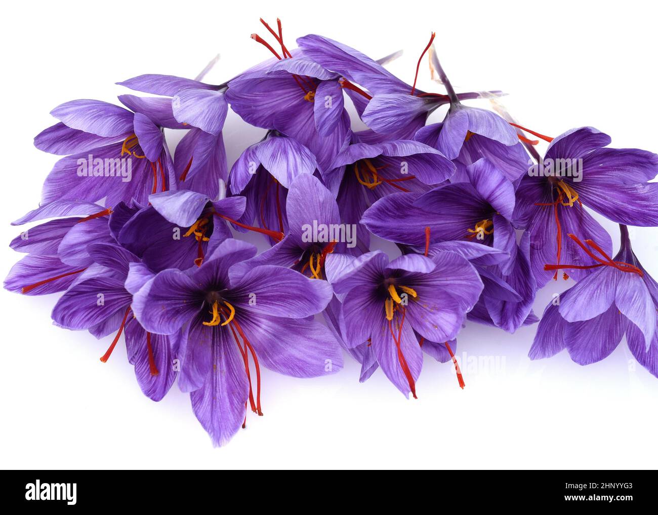 Fawns and does Cut Out Stock Images & Pictures - Alamy