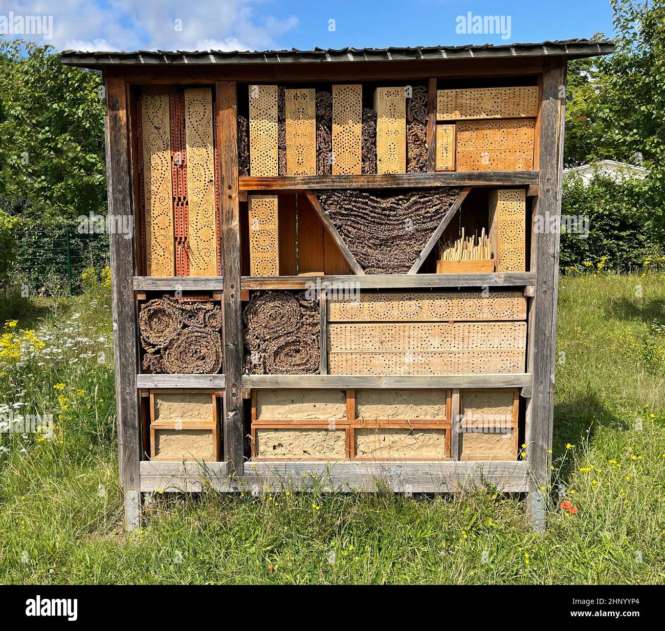 Insect hotels serve insects, especially wild bees, as a shelter and ...