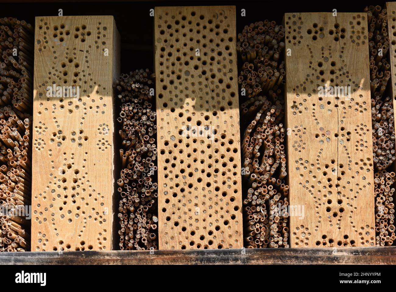 Insect hotels serve insects, especially wild bees, as a shelter and ...