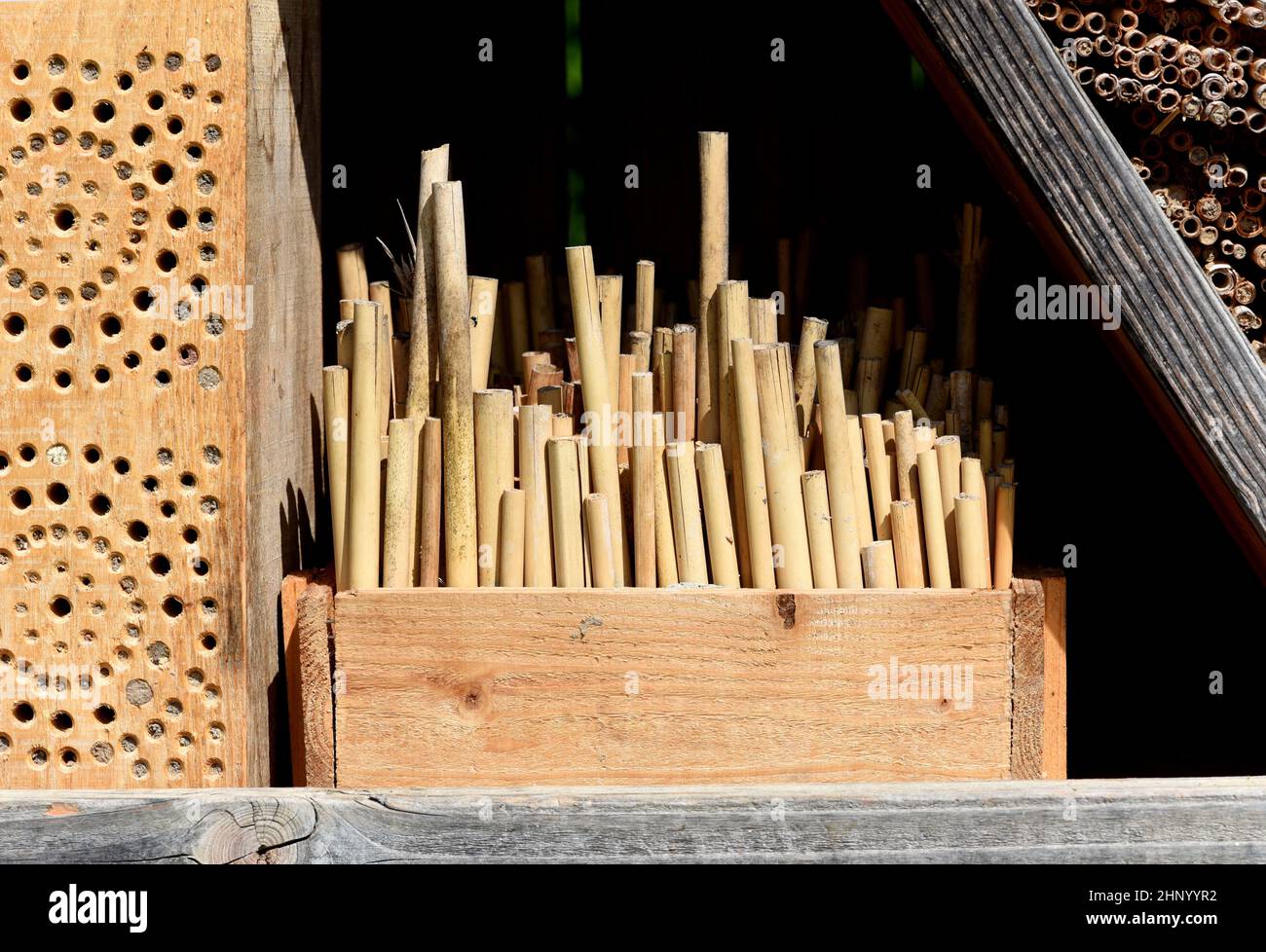 Insect hotels serve insects, especially wild bees, as a shelter and ...