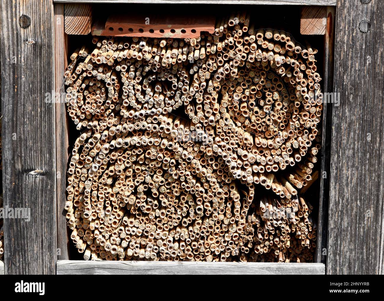 Insect hotels serve insects, especially wild bees, as a shelter and ...