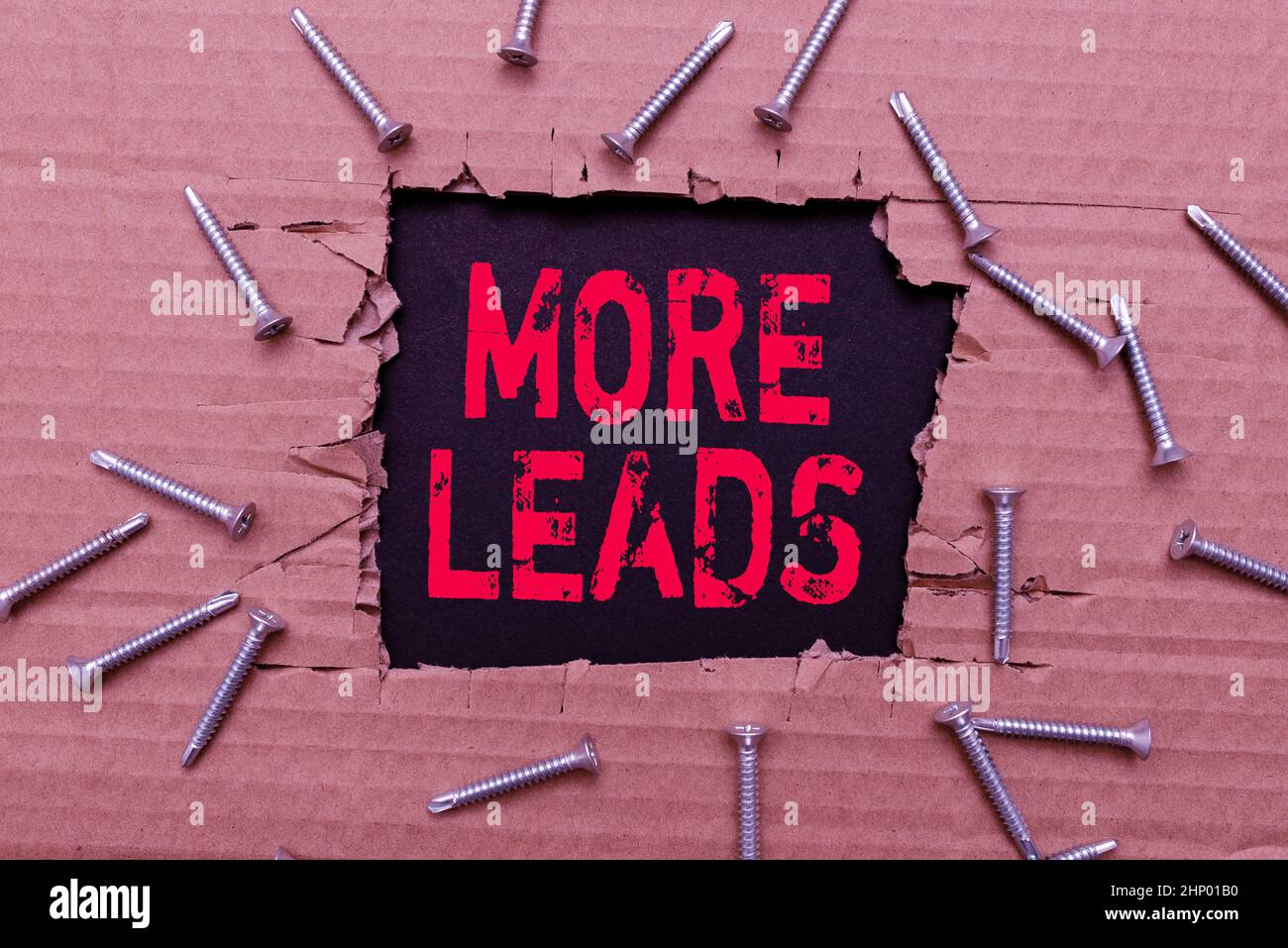Text sign showing More Leads, Concept meaning initiation of consumer ...