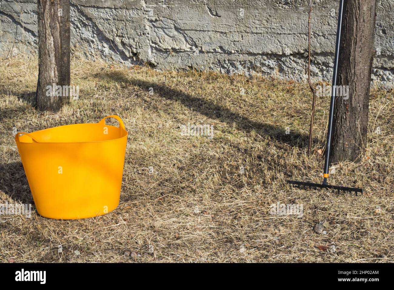 Yellow bucket and a black metal rake on grass Stock Photo - Alamy