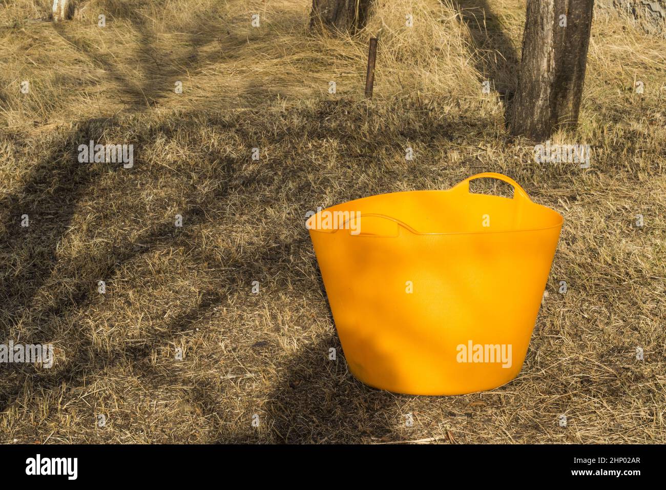 Yellow bucket and a black metal rake on grass Stock Photo - Alamy