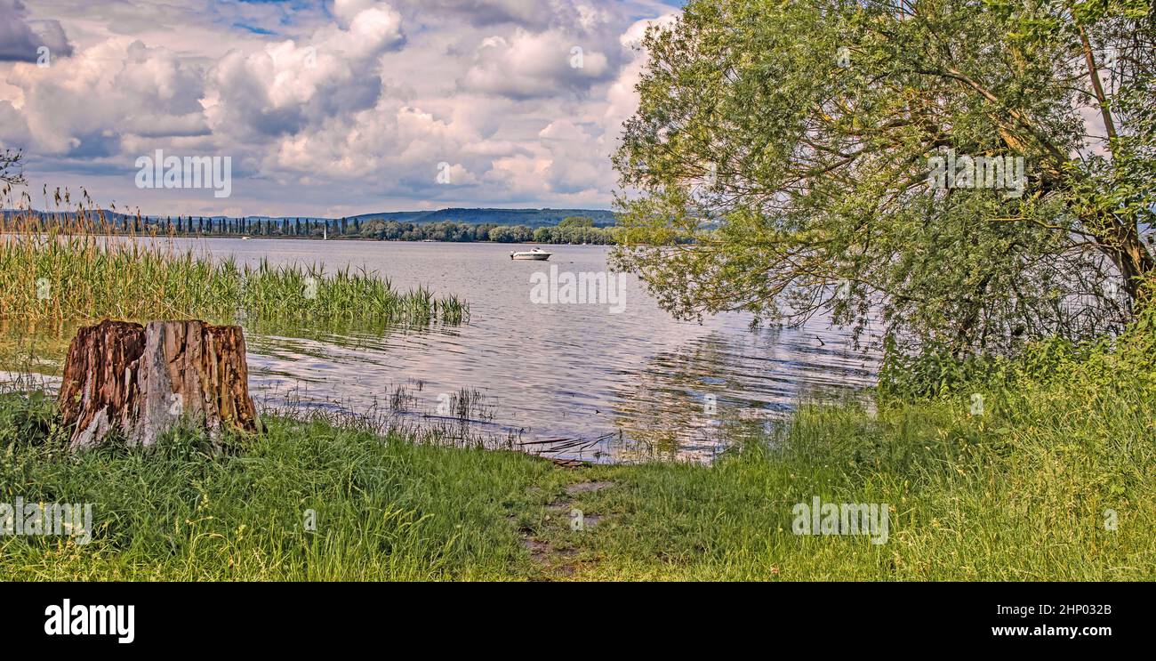Moos am bodensee hi-res stock photography and images - Alamy