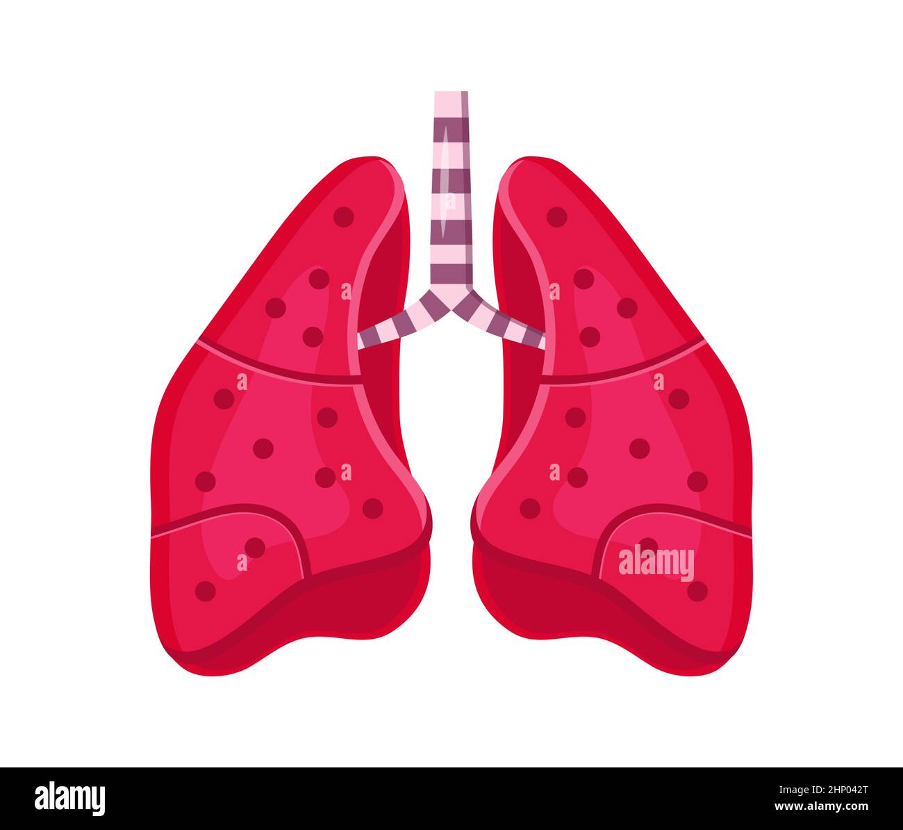 Lung icon vector. Human internal organ are shown. Pneumonia affects the ...