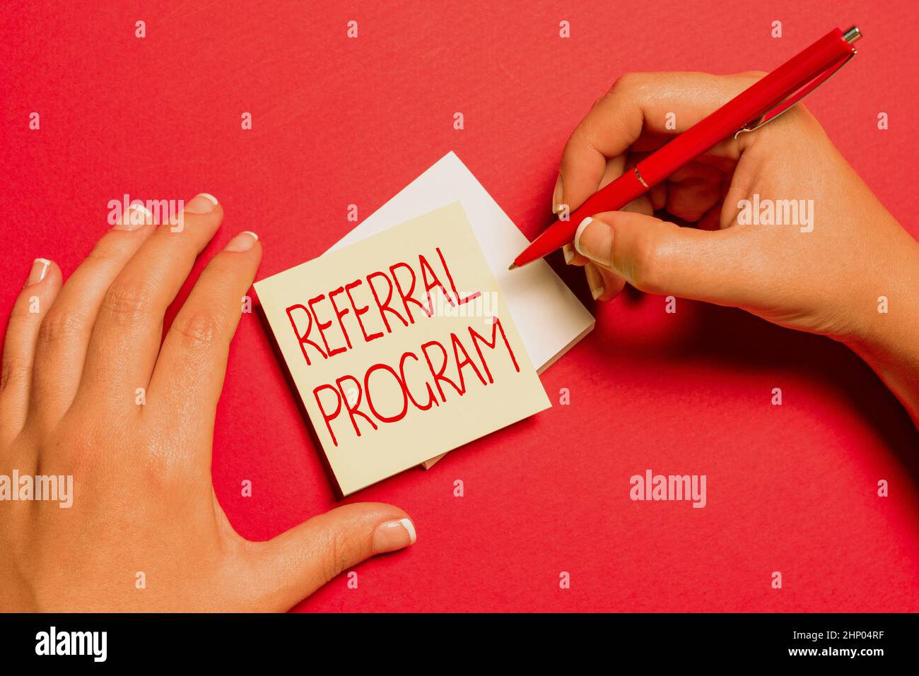 Conceptual display Referral Program, Business overview internal ...