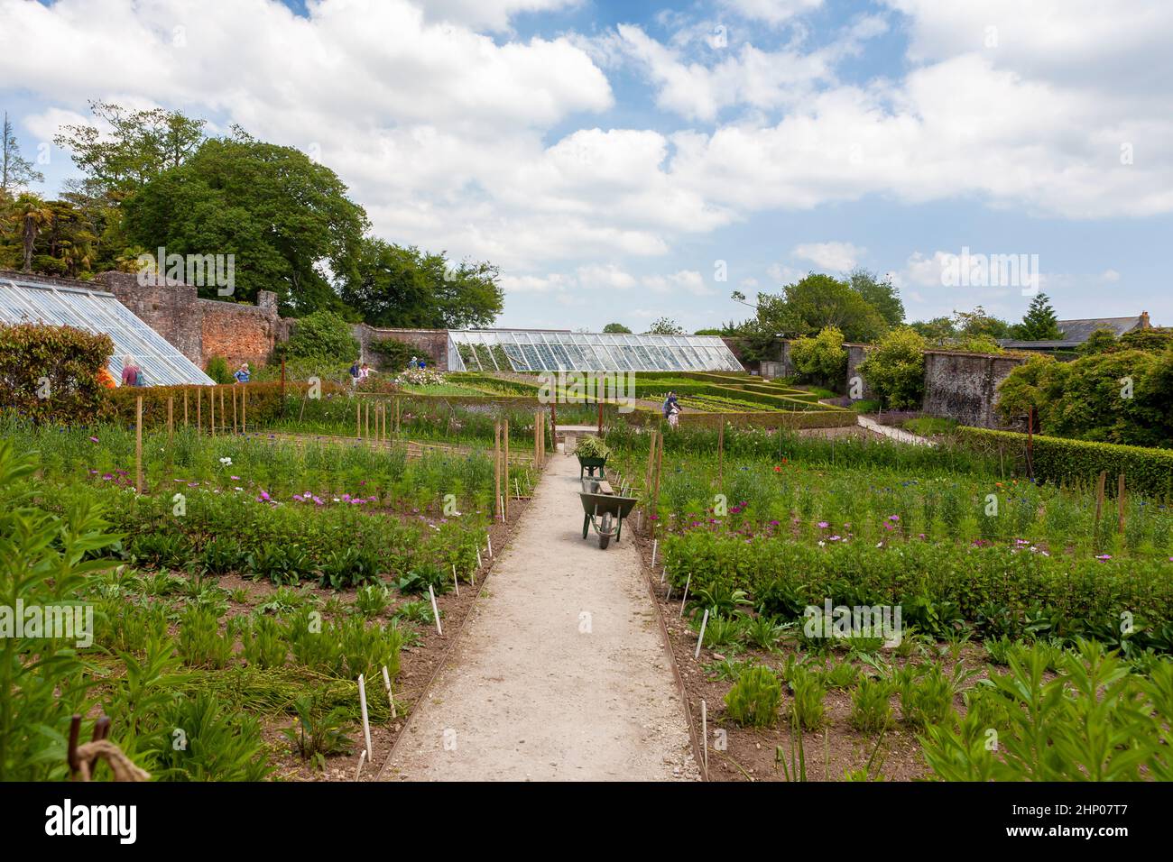 The old walled Flower Garden,, with the Peach House in the distance ...