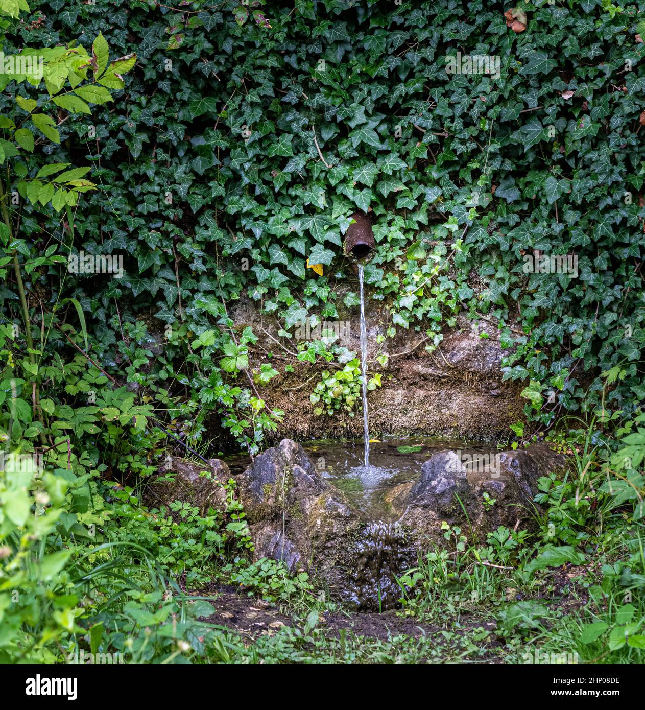 Little fountain out of a stone wall with green ivy Stock Photo - Alamy