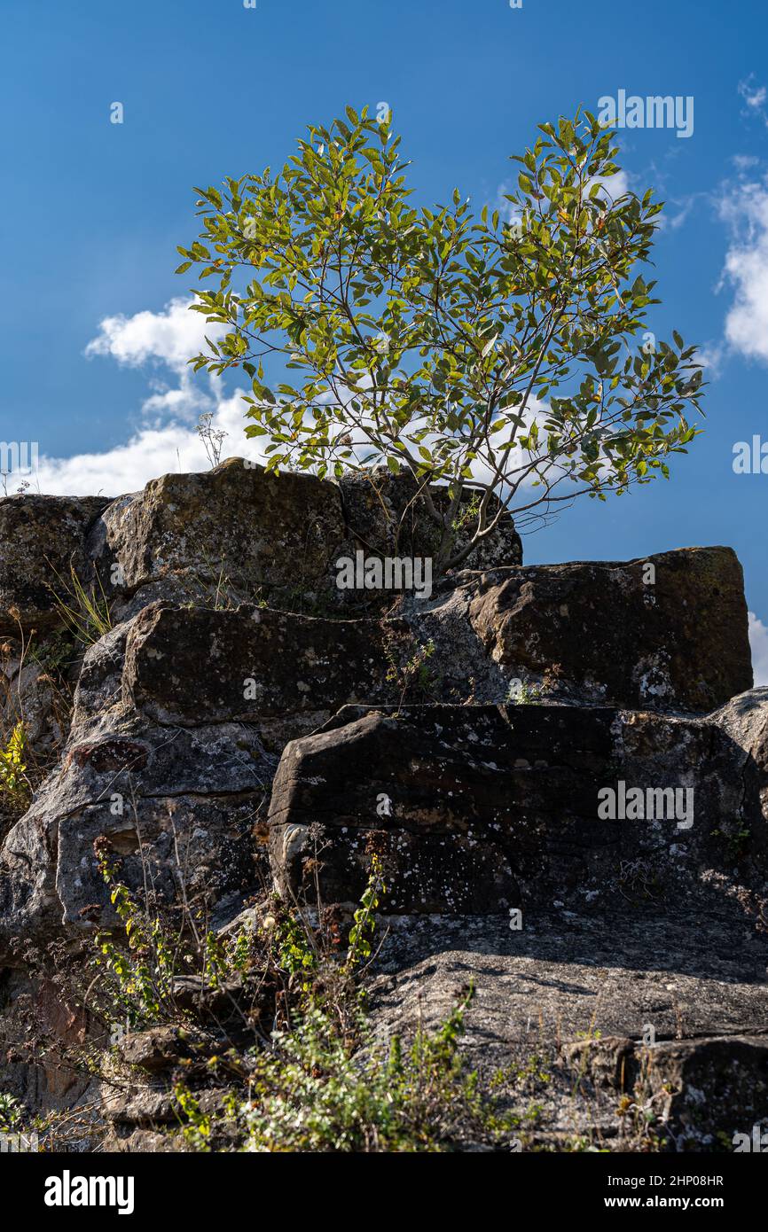 Massive high walls of an old medieval castle Stock Photo - Alamy