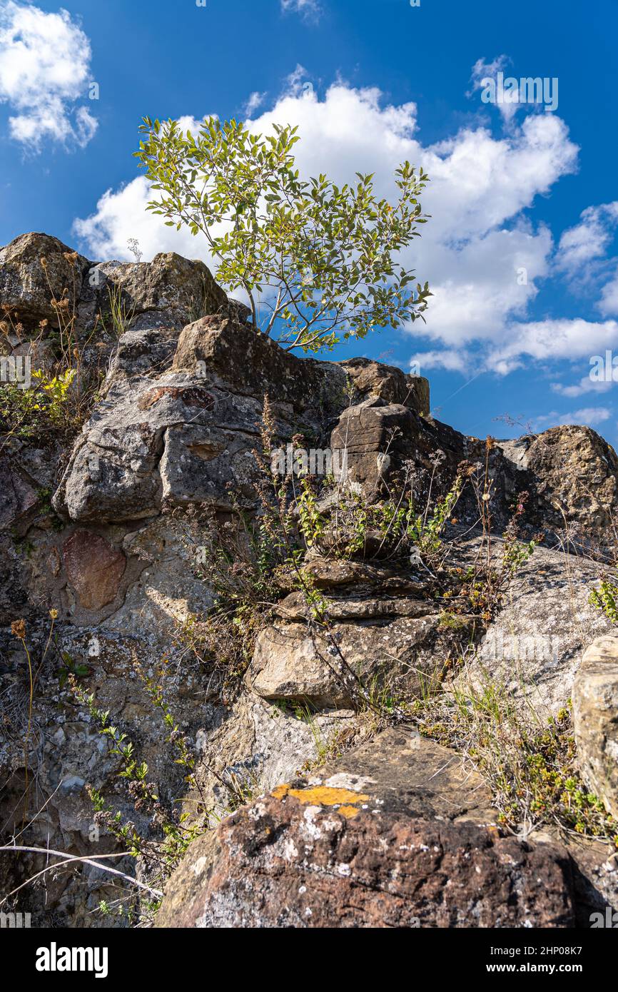 Massive high walls of an old medieval castle Stock Photo - Alamy