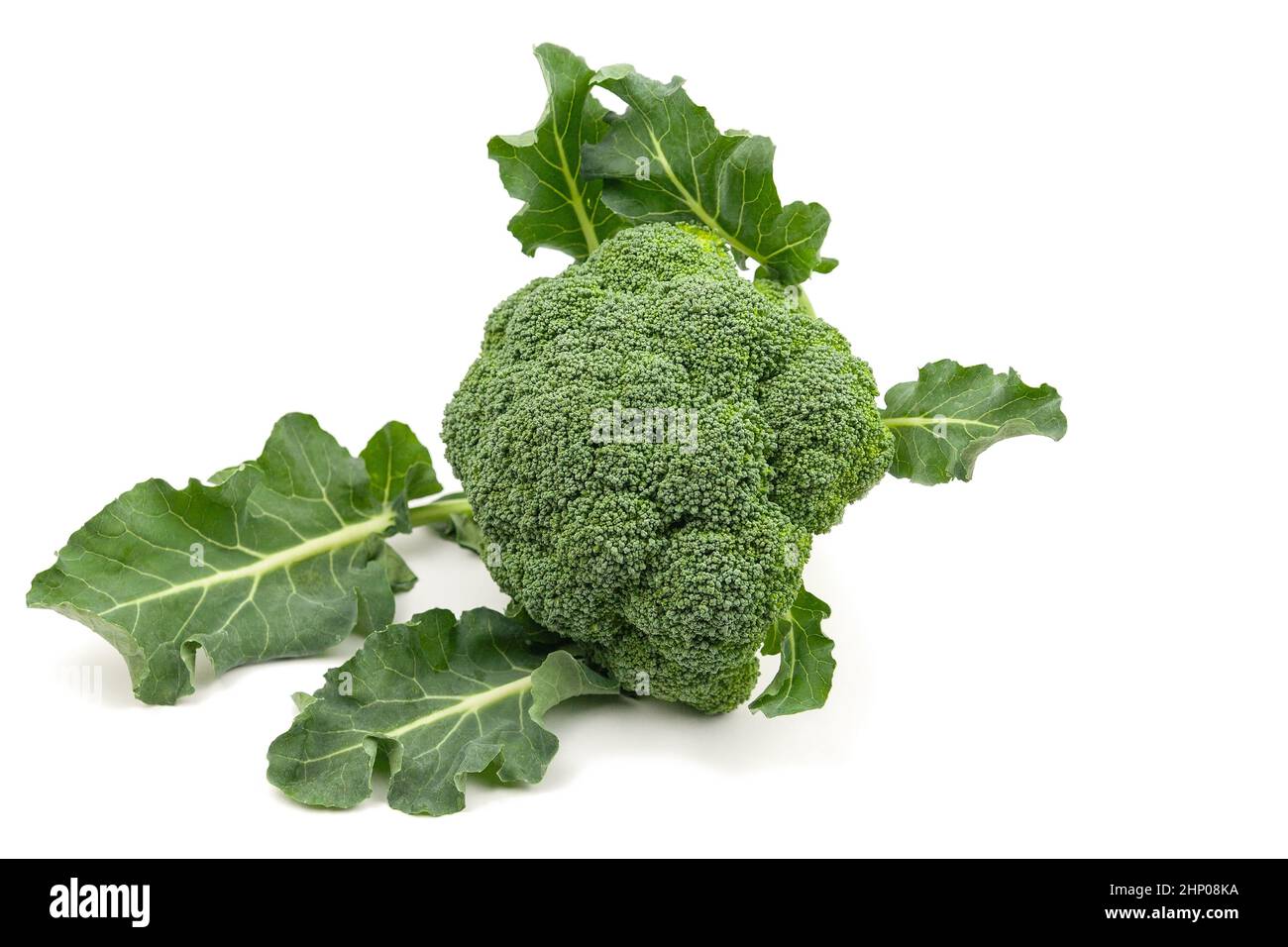 Broccoli vegetable isolated on white background. Healthy eating Stock ...
