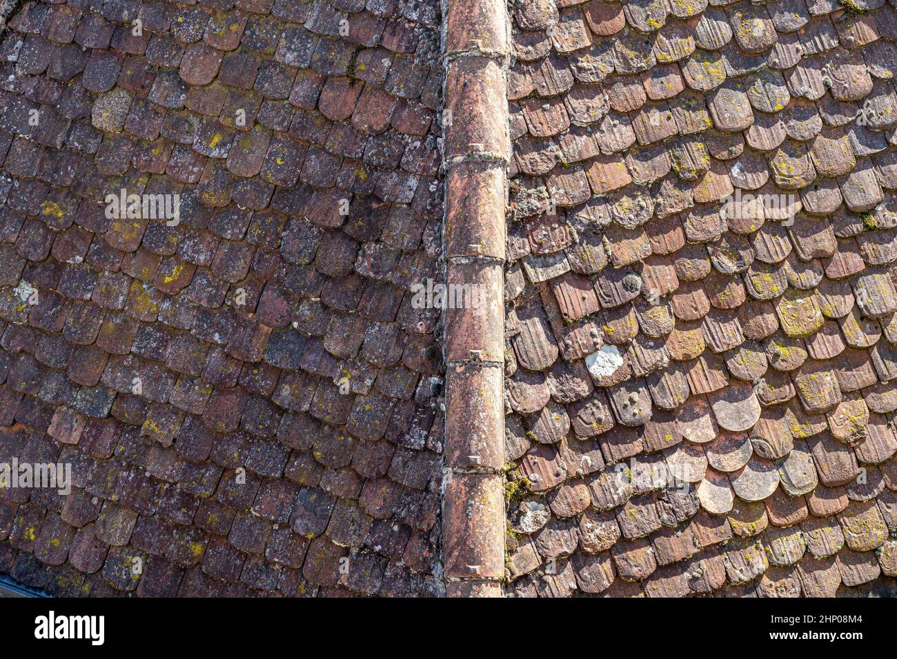 Roof of one of the towers of the castle Stock Photo - Alamy