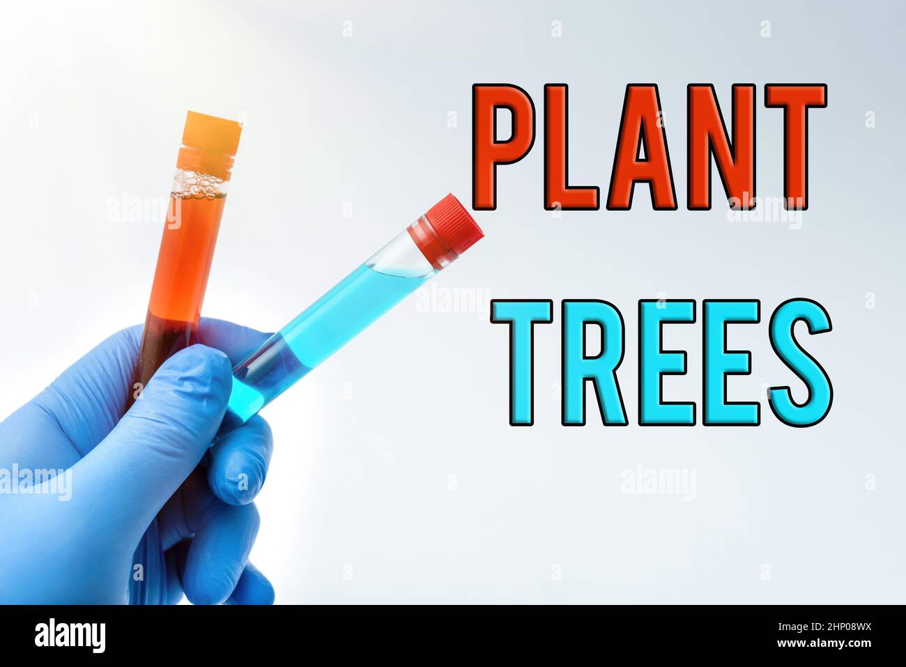 Conceptual display Plant Trees, Internet Concept process of planting a ...