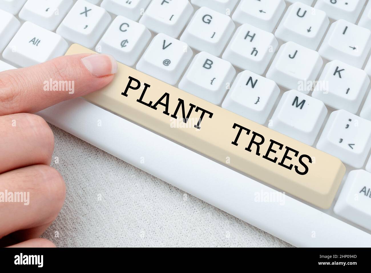 Conceptual caption Plant Trees, Word for process of planting a tree for ...