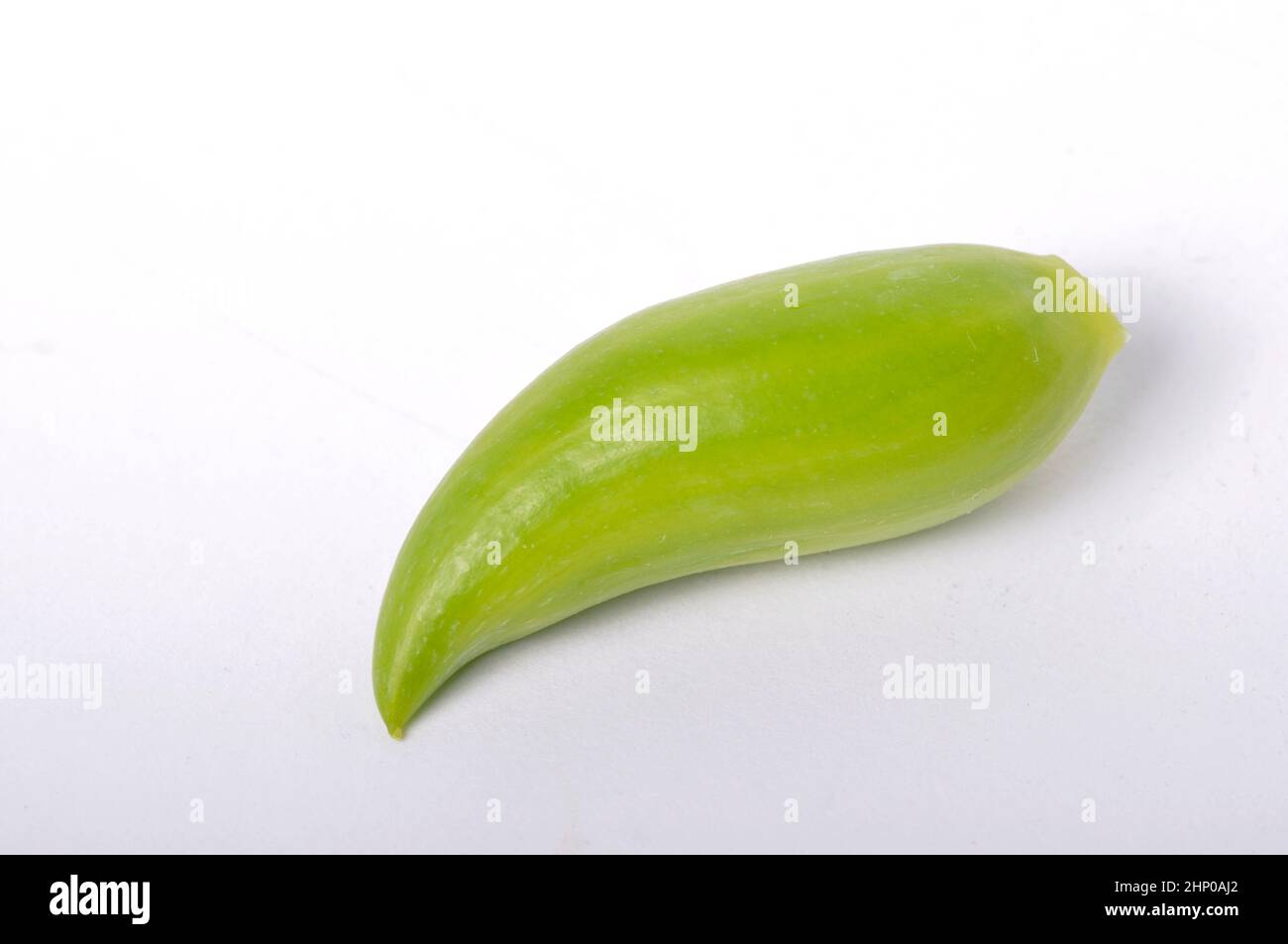Fresh achocha hi-res stock photography and images - Alamy