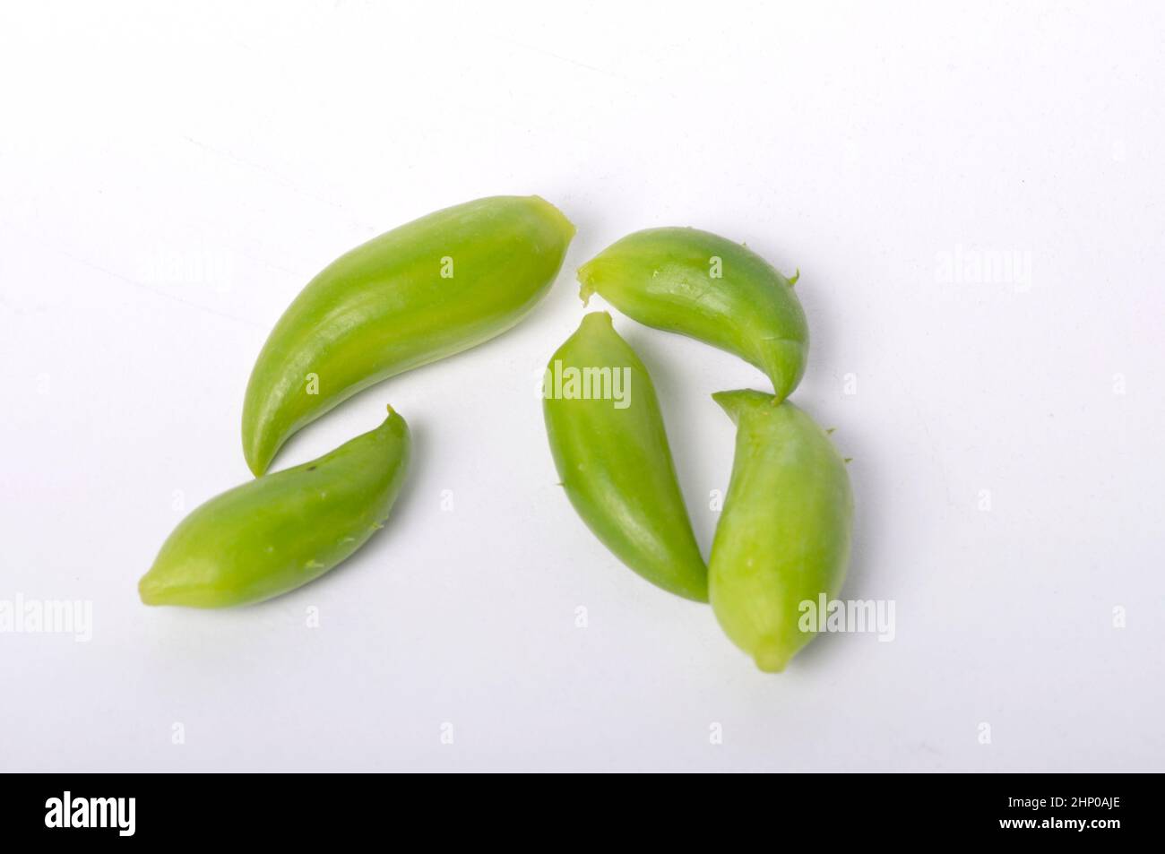 Fresh achocha hi-res stock photography and images - Alamy