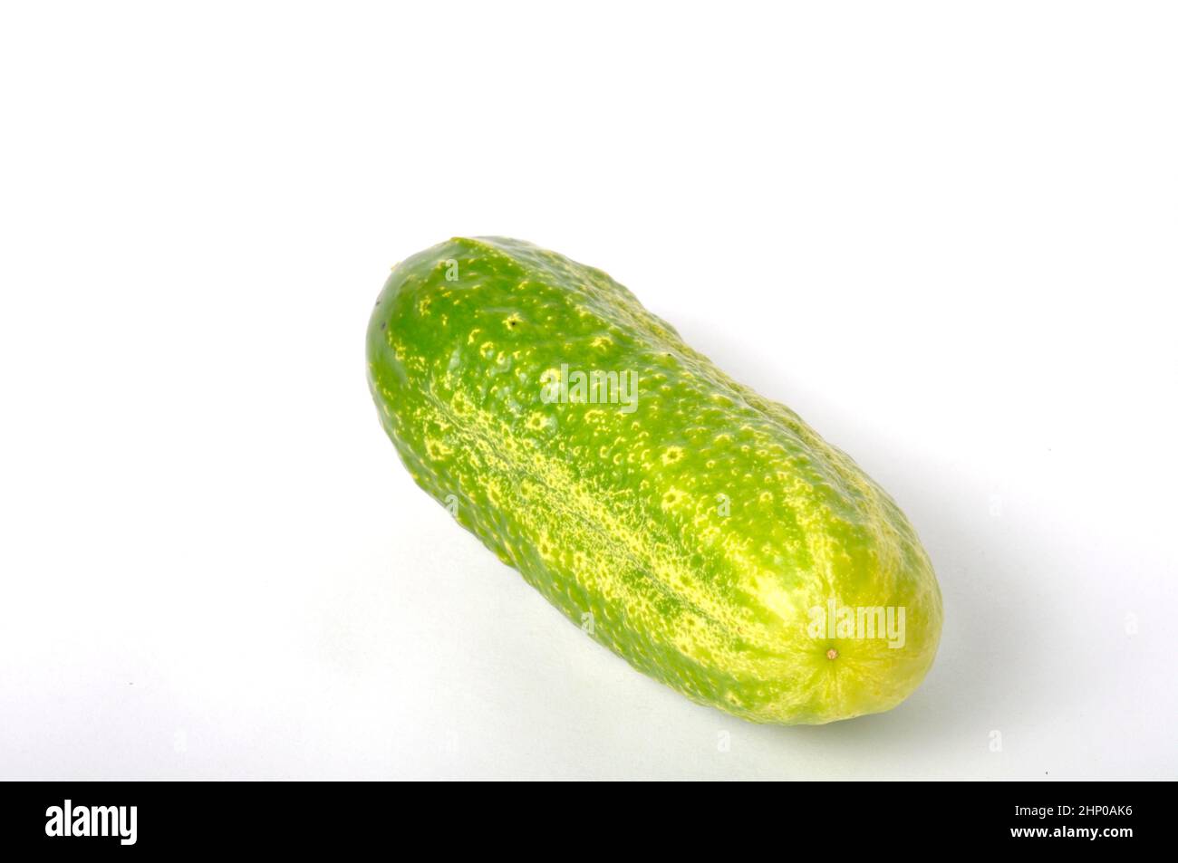 Small cucumber on a white background Stock Photo - Alamy