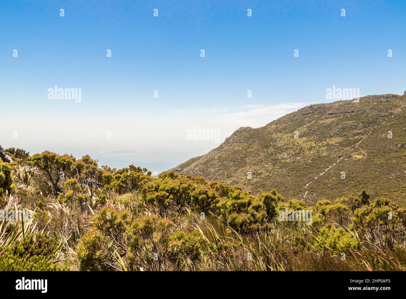 View from Table Mountain National Park in Cape Town, South Africa Stock ...
