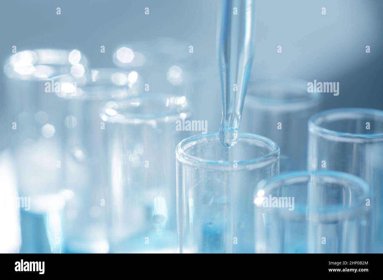 Scientific laboratory research and experiments. Laboratory test tubes ...