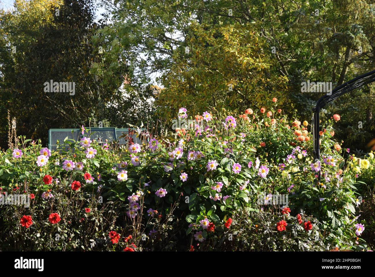 cottage garden, england Stock Photo - Alamy