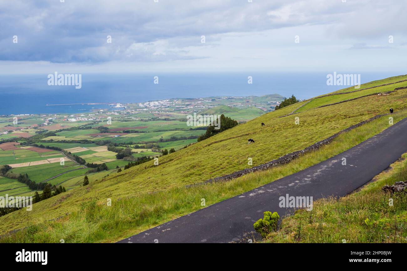 Top view of farm fields in the Terceira island in Azores, Portugal ...