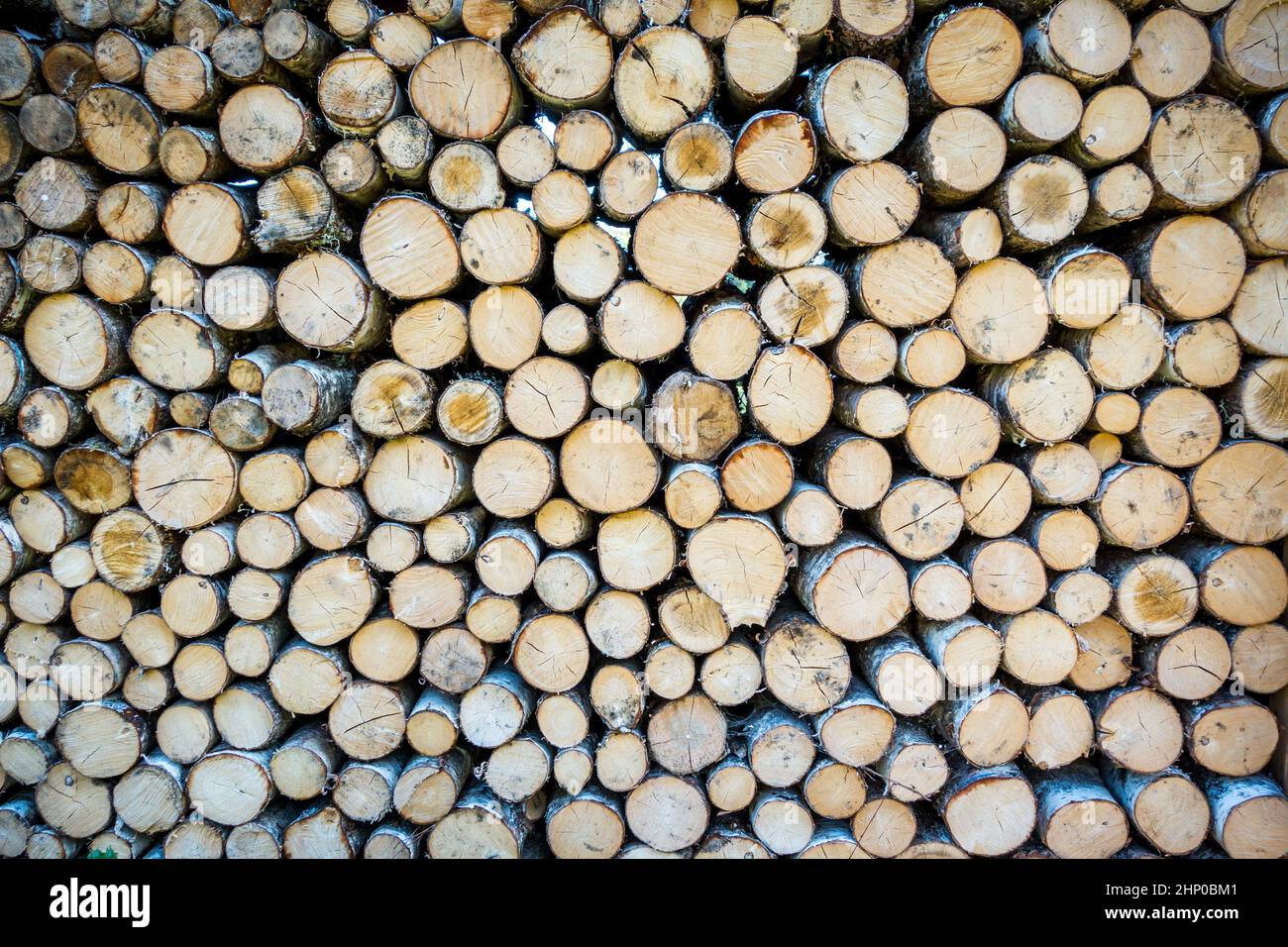Stack of tree trunks. Texture background wallpaper Stock Photo - Alamy