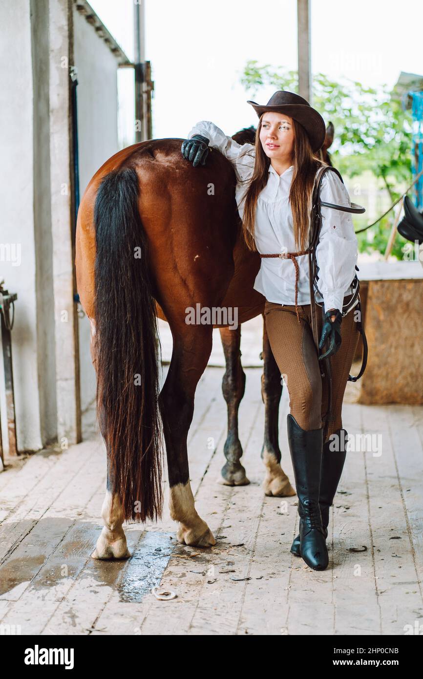 Woman washing her horse hi-res stock photography and images - Alamy