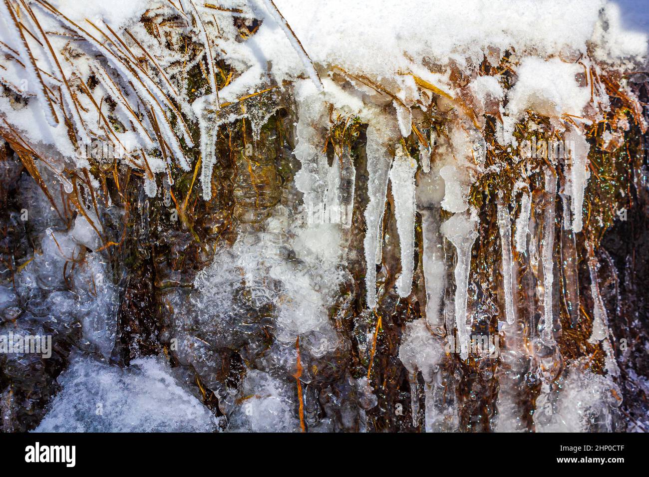 Frozen thawing icicles at a river in forest landscape at Brocken ...