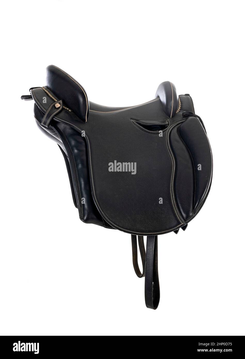 Horse in front black Cut Out Stock Images & Pictures - Alamy