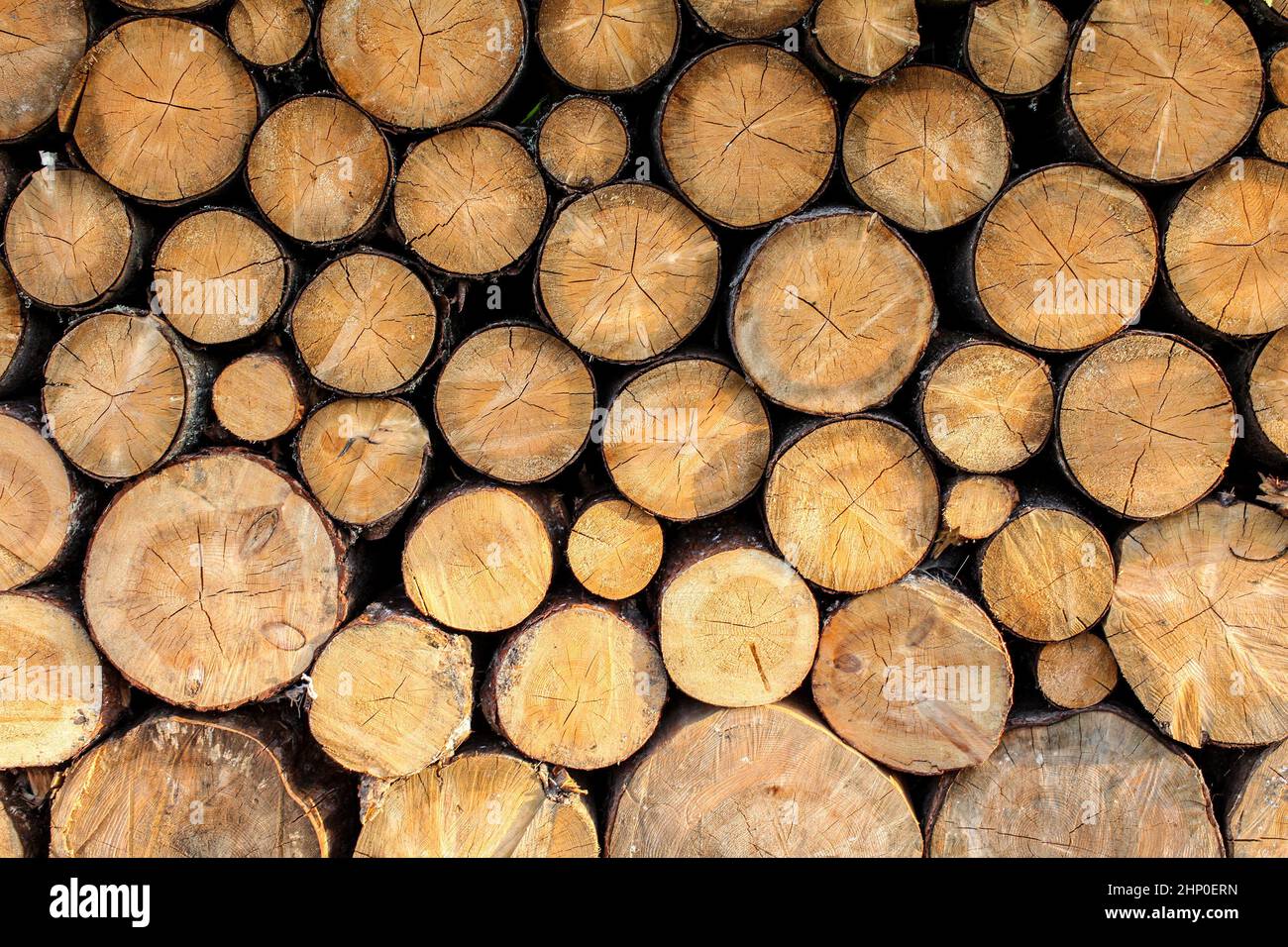 Oak wood logs on heap hi-res stock photography and images - Alamy