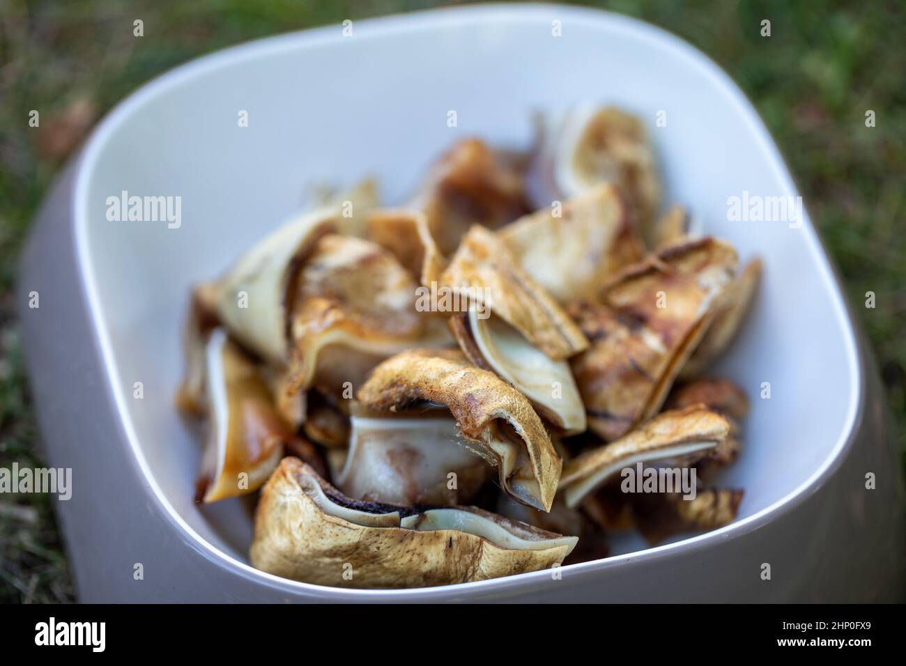 Grilled pork ears in a restaurant with a dog menu Stock Photo - Alamy