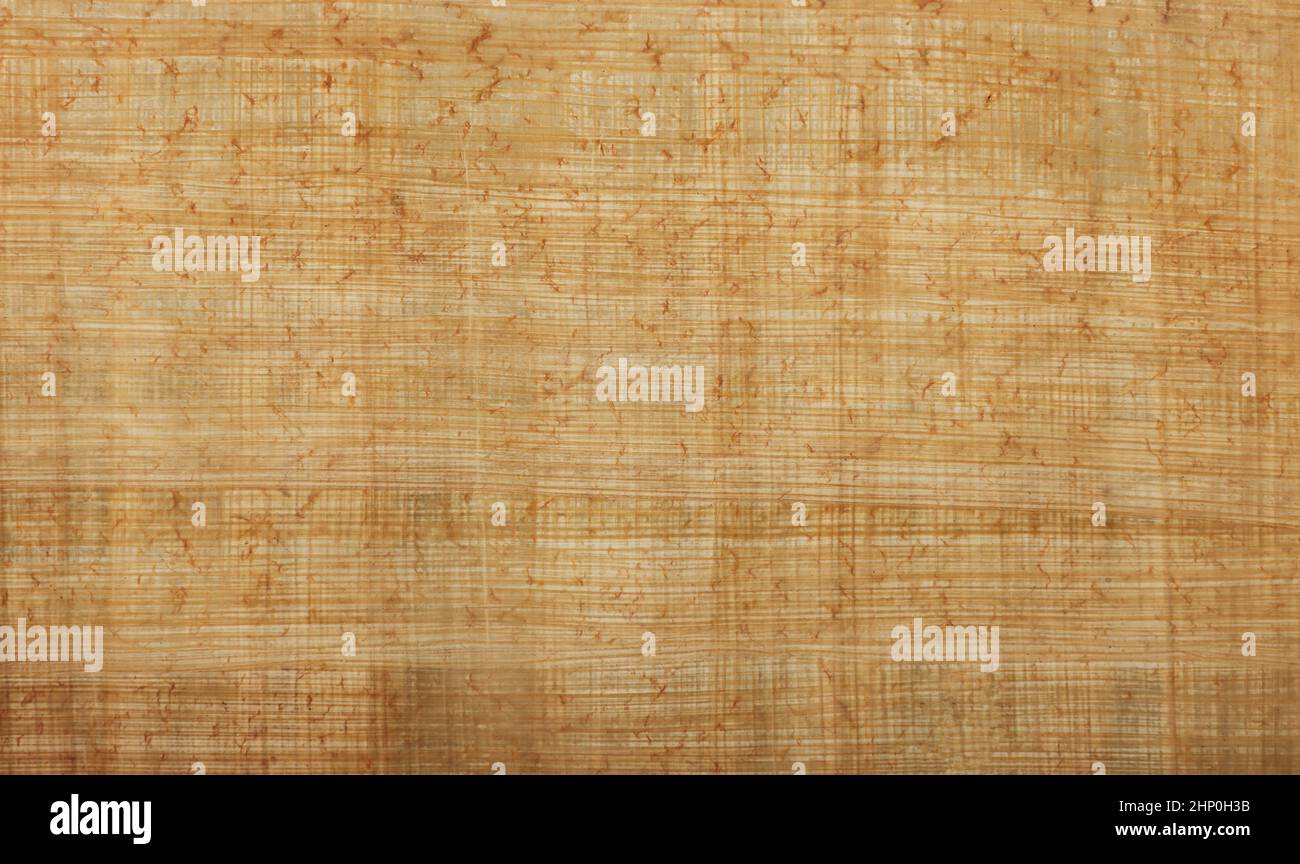 Close up background texture of ancient Egyptian papyrus or byblos paper ...