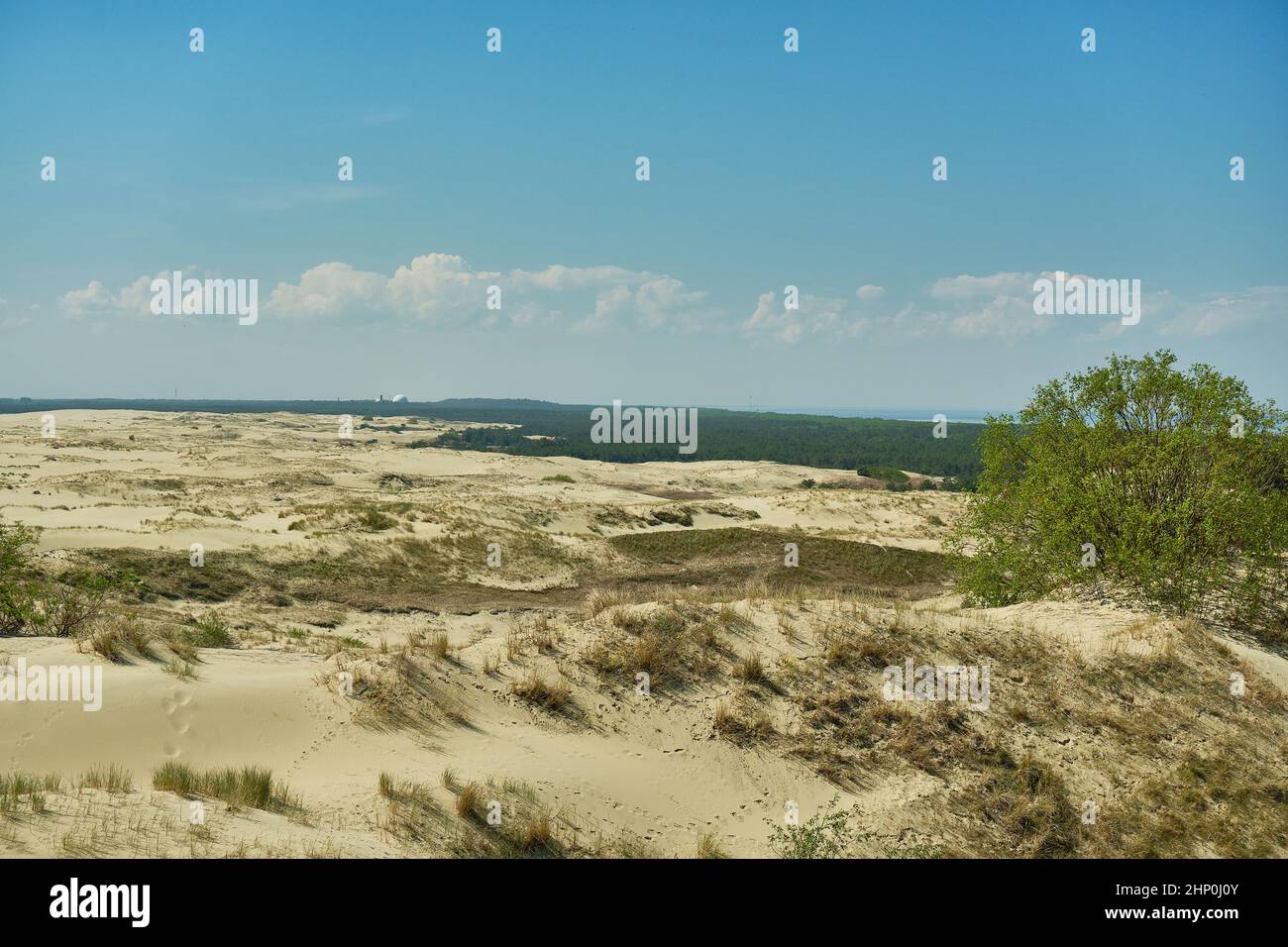 Sand dunes of the russian part Curonian Spit. Kaliningrad region ...