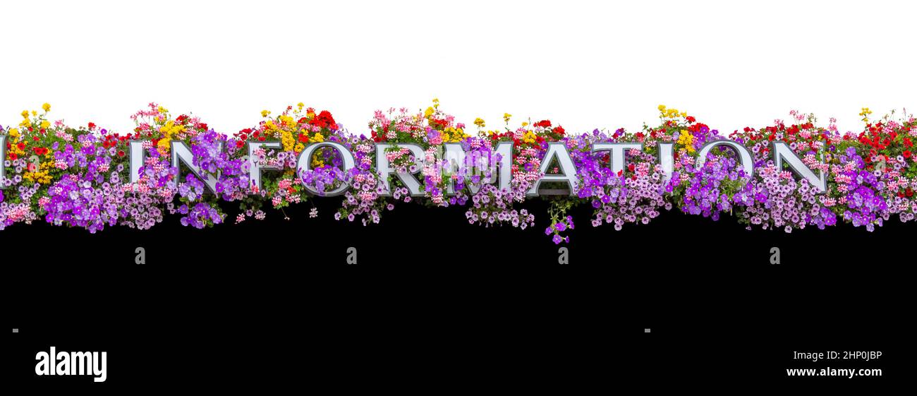 Information lettering framed by colorful flowers, black and white ...