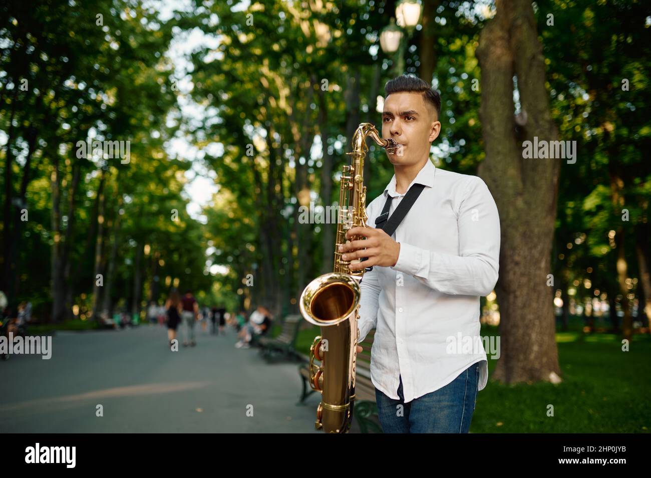 Saxophonist plays melody on golden saxophone in summer park, young ...