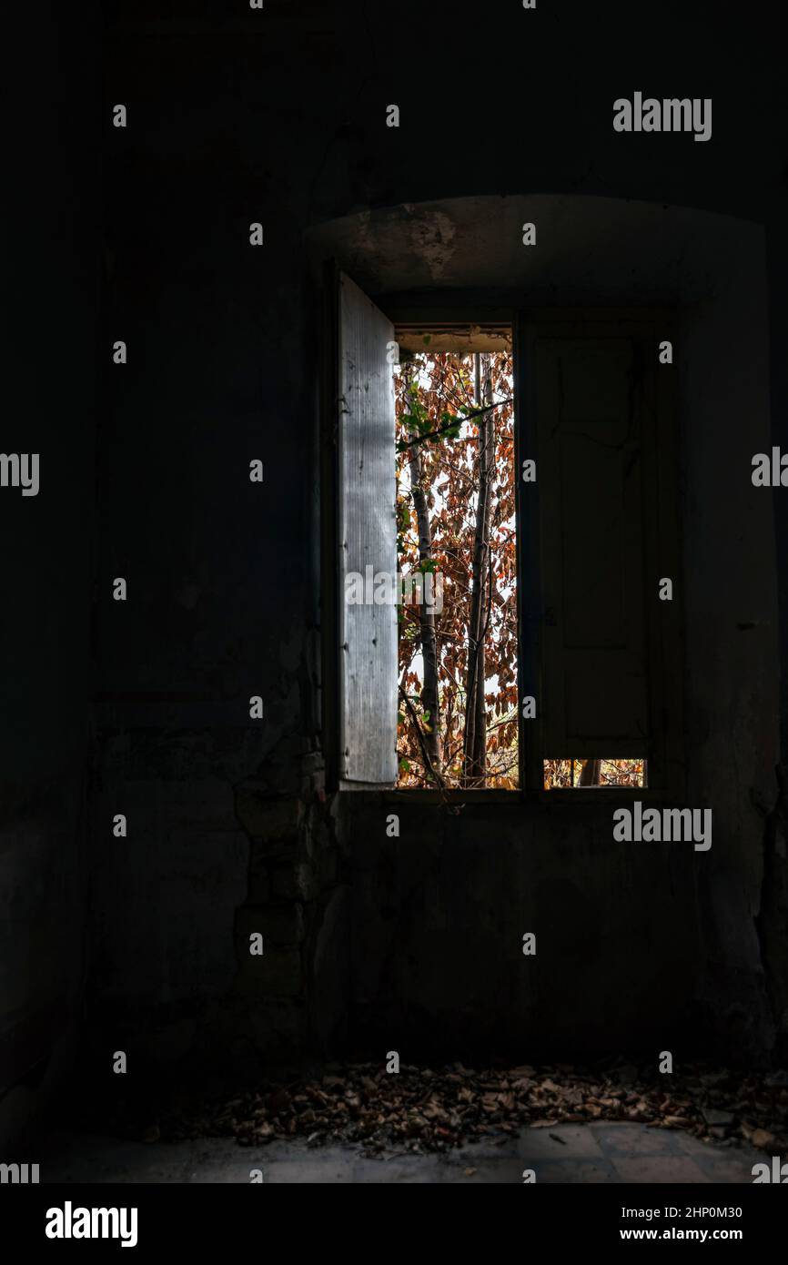 Interior of a decaying abandoned house. Art nouveau colors. Window ...