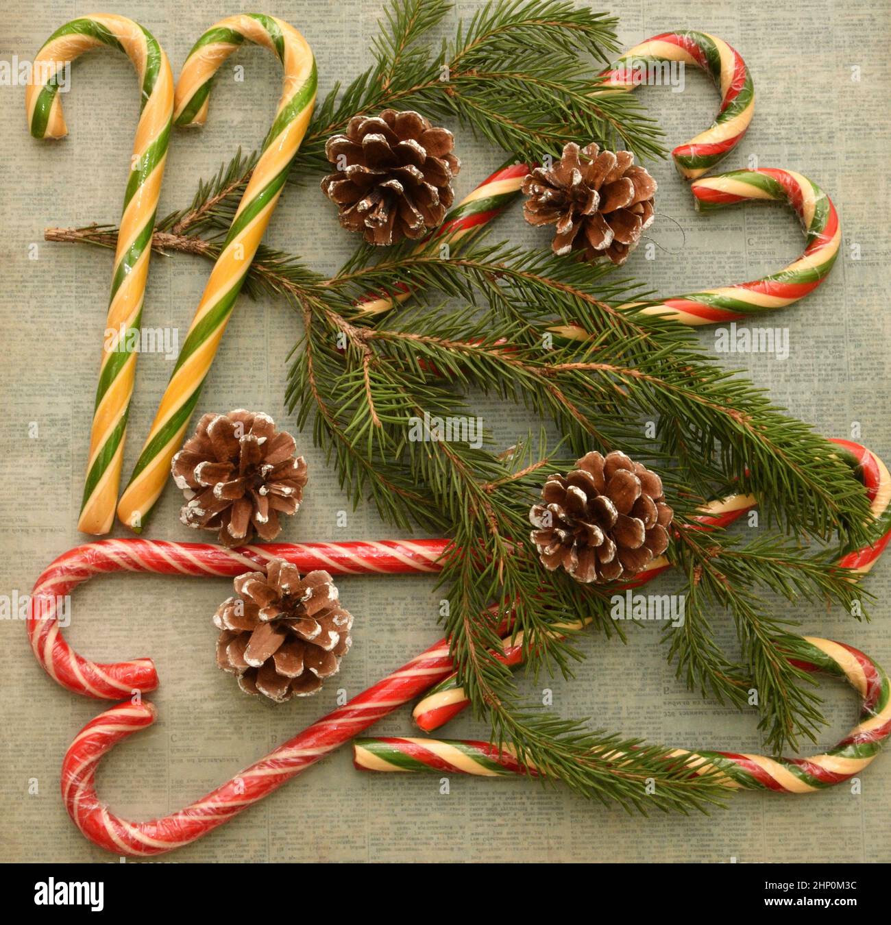 Christmas caramel or Christmas caramel canes, a branch of an ordinary ...