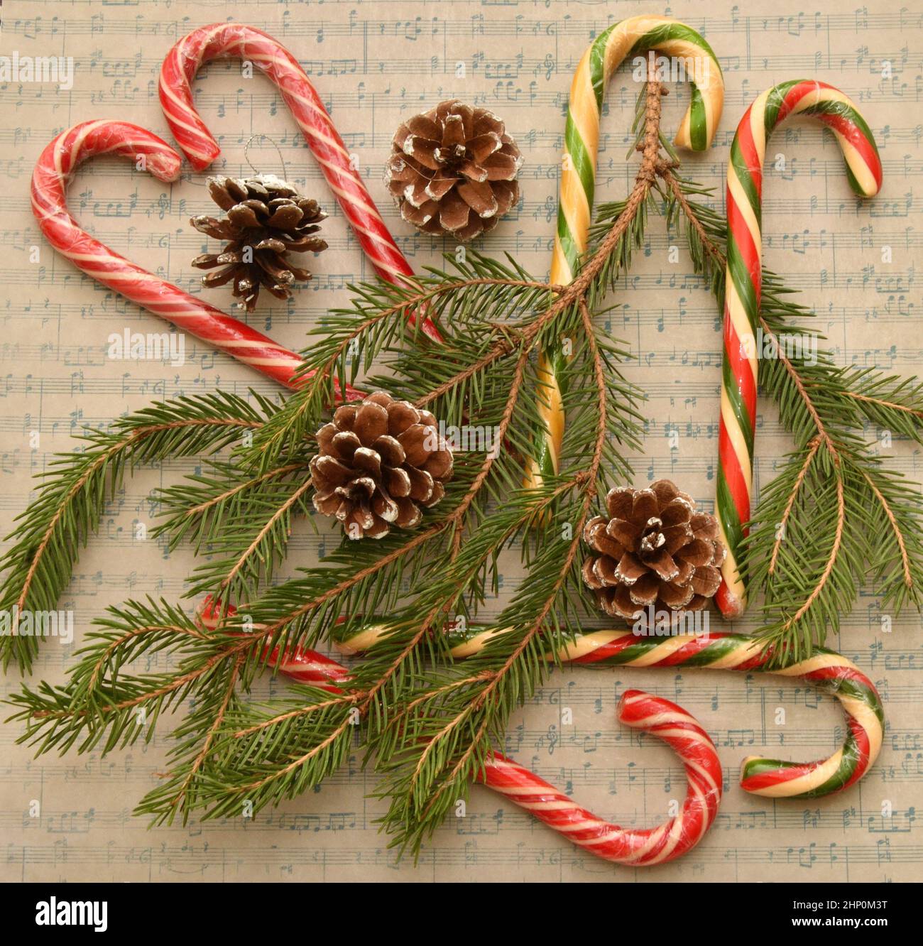 Christmas caramel or Christmas caramel canes, a branch of an ordinary ...