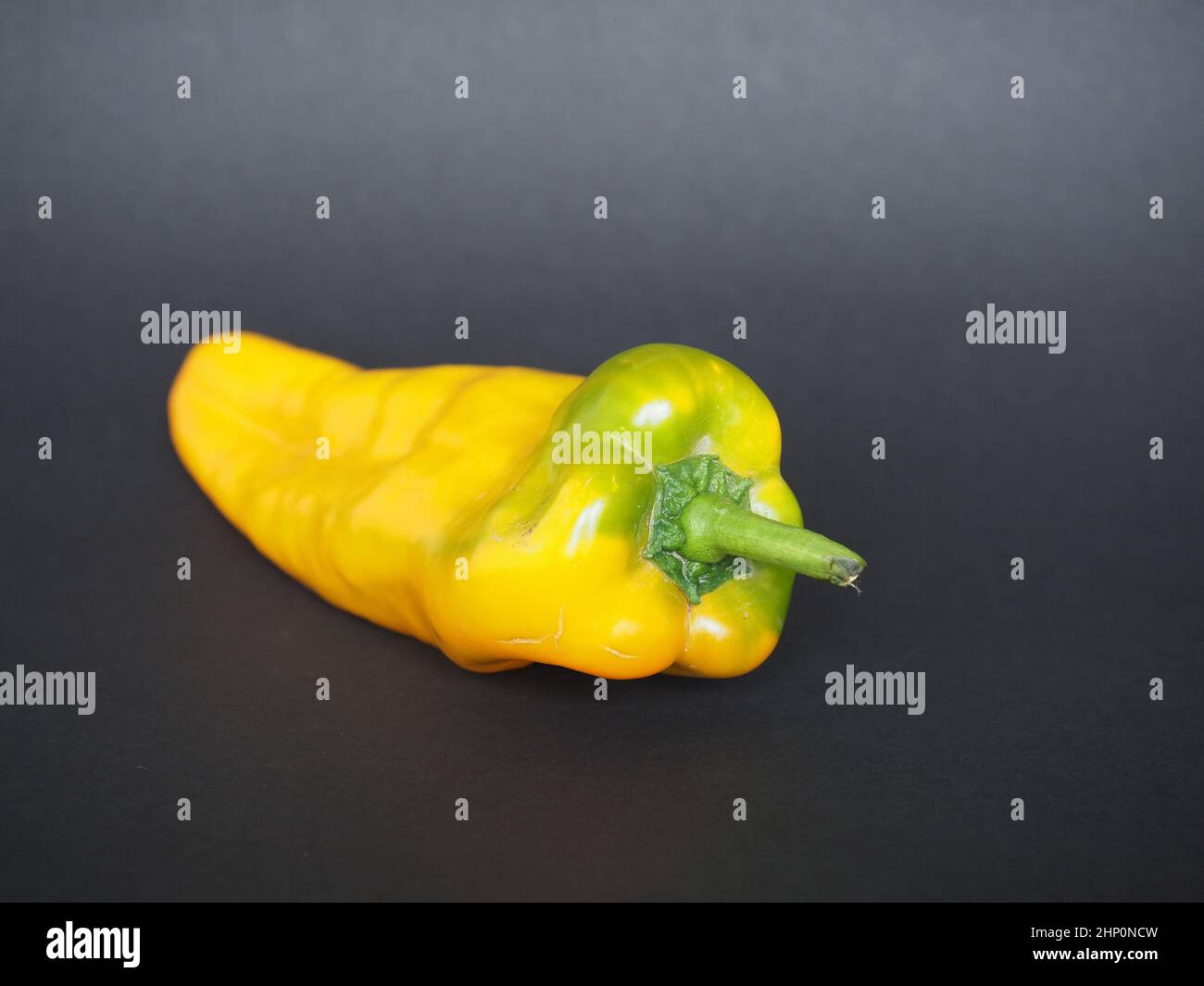 yellow peppers (scientific name Capsicum aka bell peppers) vegetables ...
