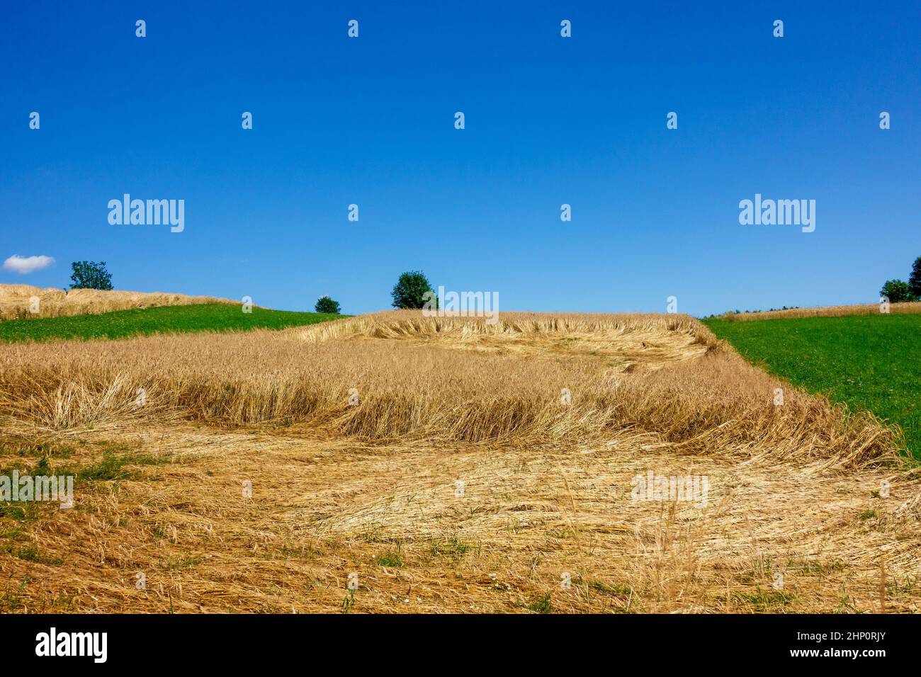 Destroyed grassland hi-res stock photography and images - Alamy