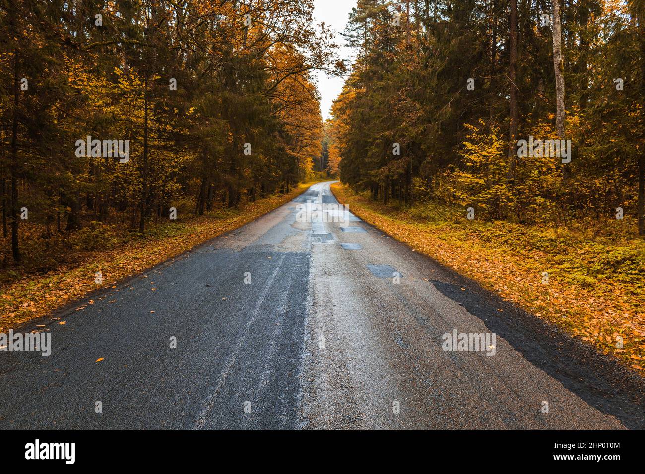 Beautiful empty autumn road hi-res stock photography and images - Alamy