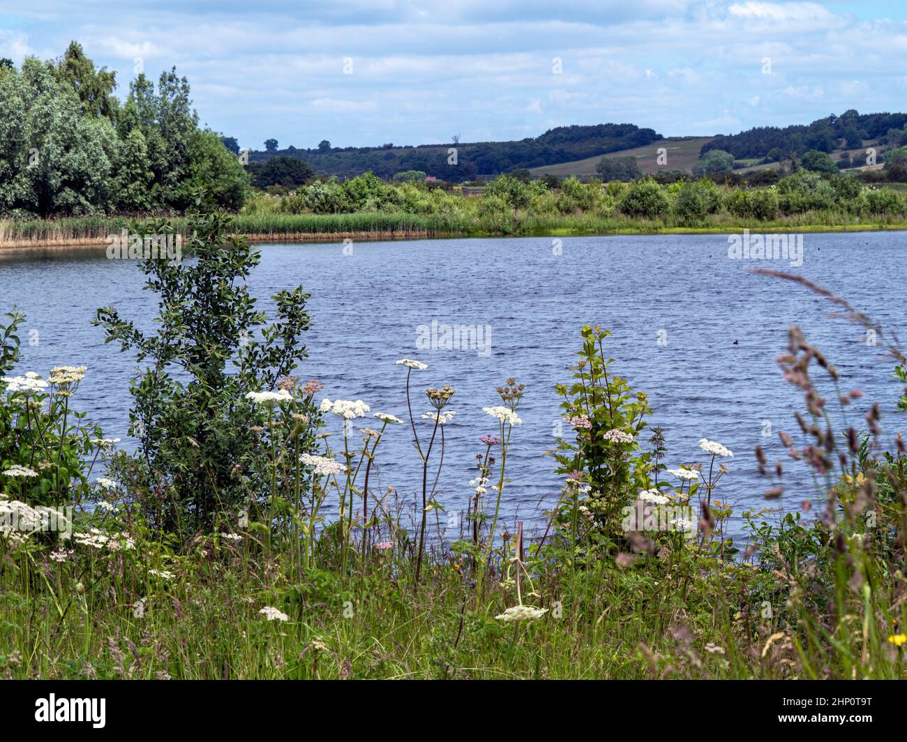 View over a lake at North Cave Wetlands nature reserve, East Yorkshire ...