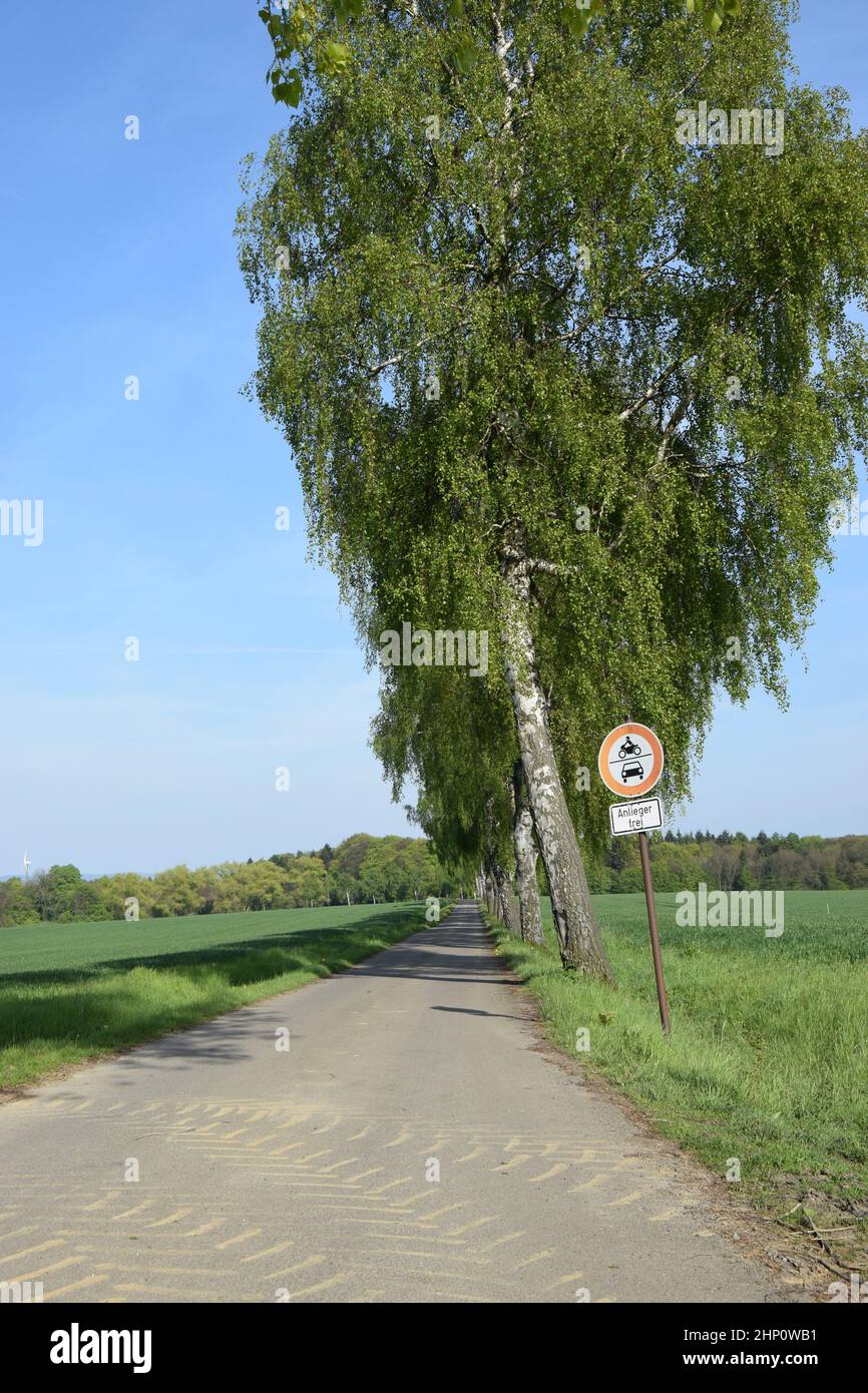 No entry road sign germany hi-res stock photography and images - Alamy