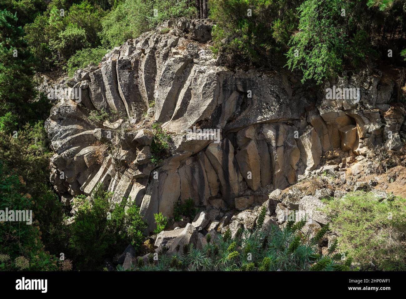 A geological formation, a basalt rock formation in the shape of a rose ...