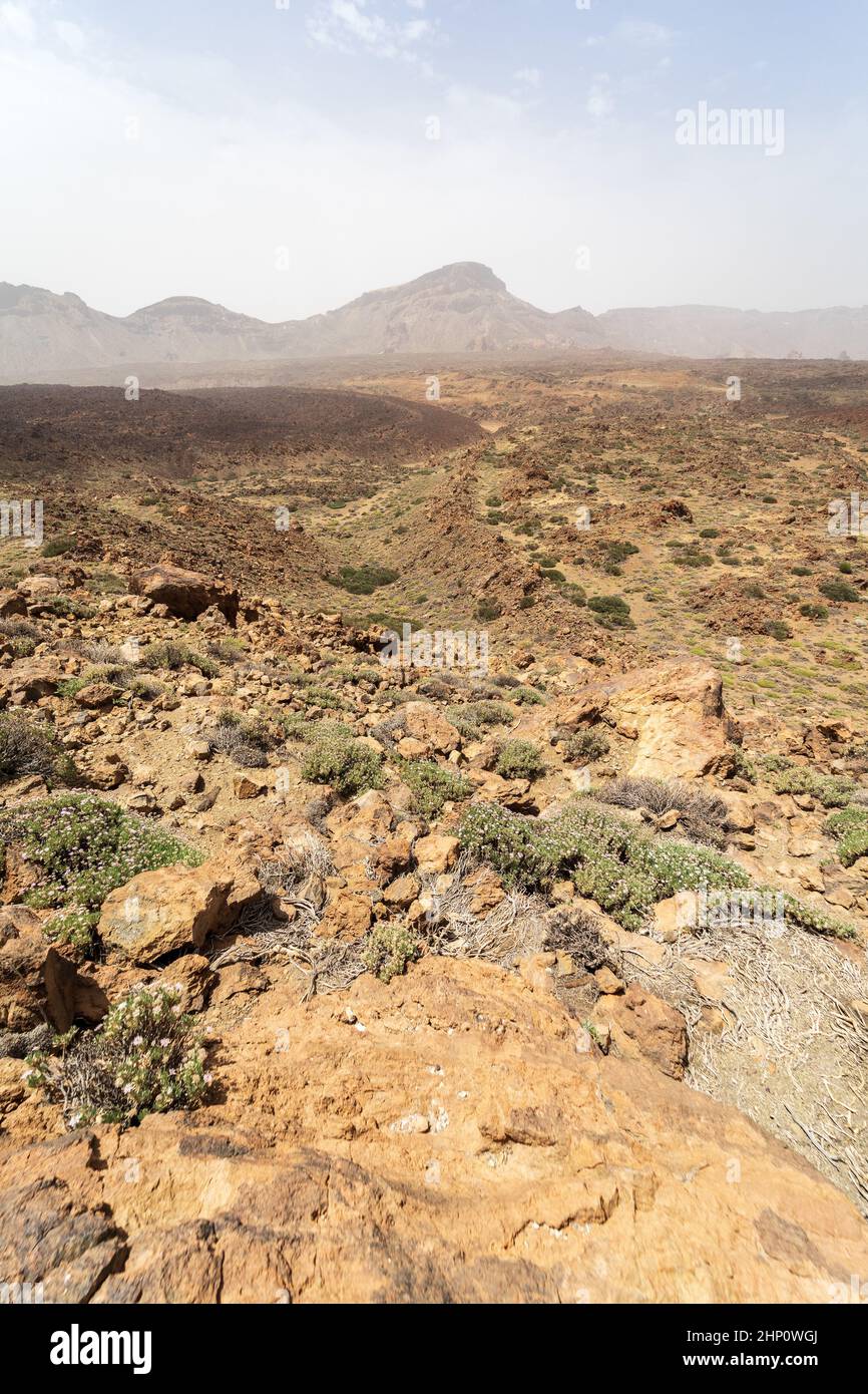 Desert landscape from Las Canadas caldera of Teide volcano. Mirador El ...