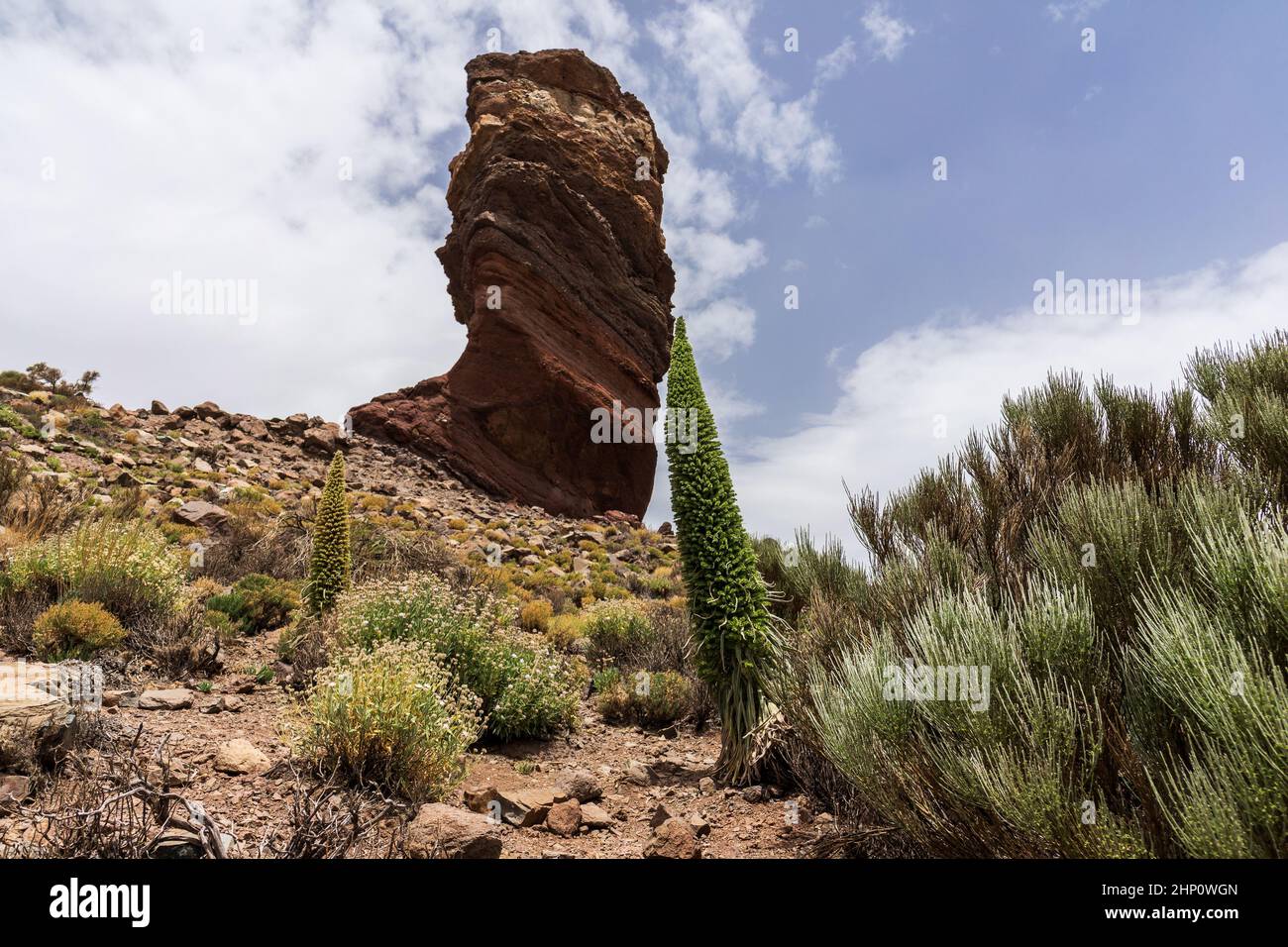 The lava fields of Las Canadas caldera of Teide volcano and rock ...