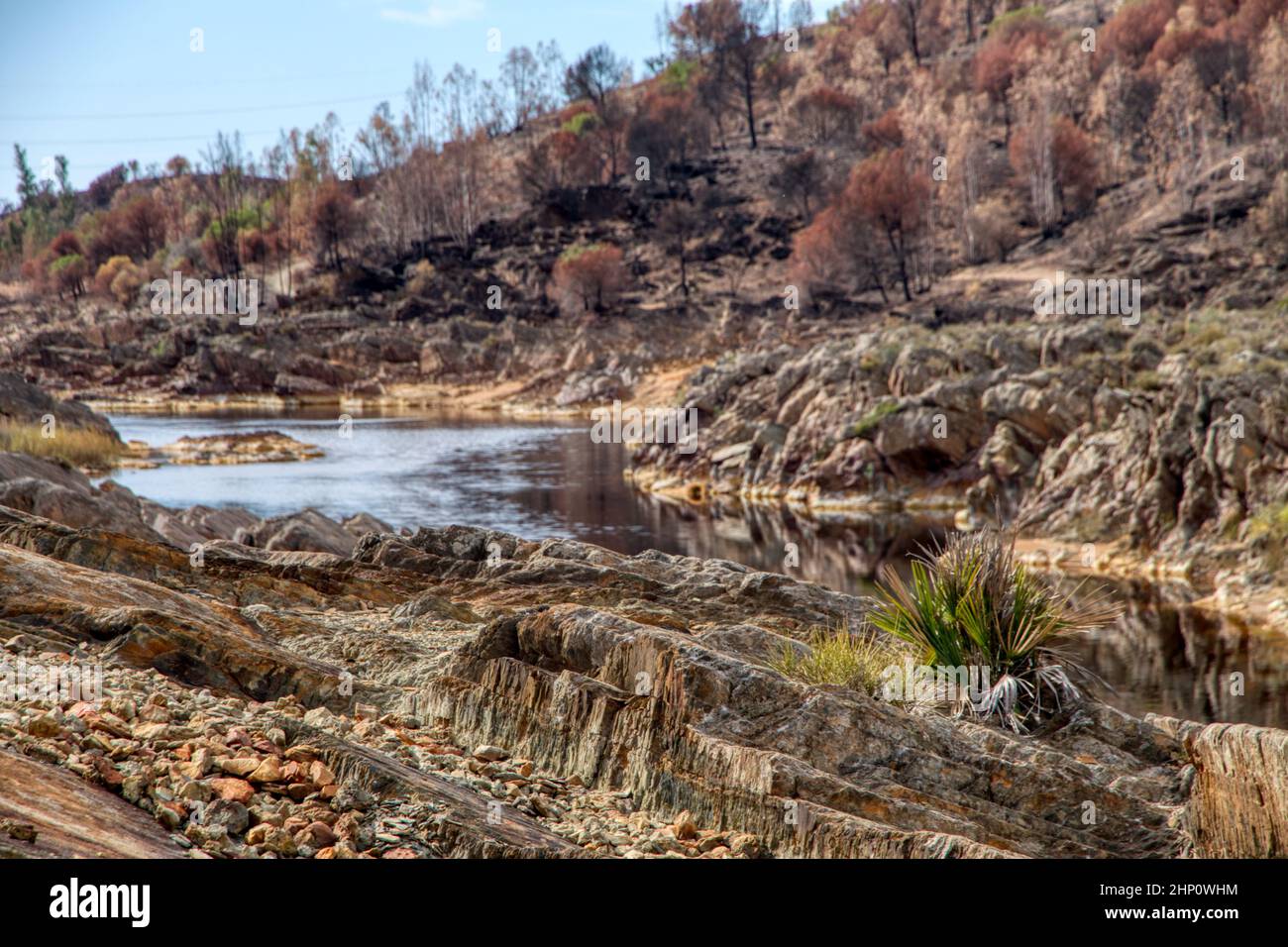 Stunning Landscape. Riverbank of the Rio Tinto, a river that stains the ...